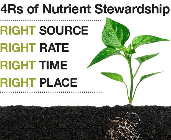 Morral Companies - Leading the Way with Quality and Service