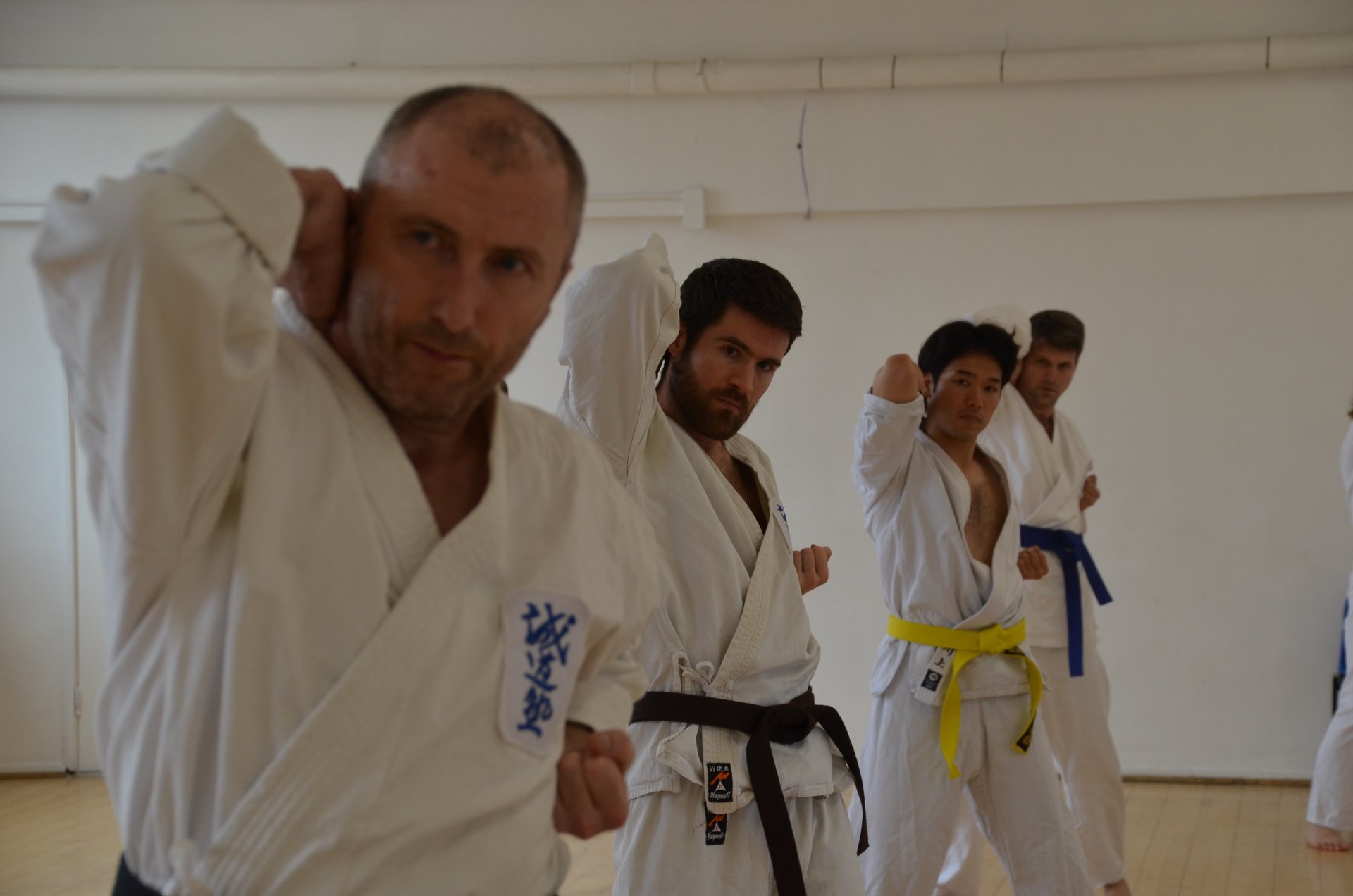 Martial Arts Training for All Levels – Chiswick | Seido Karate