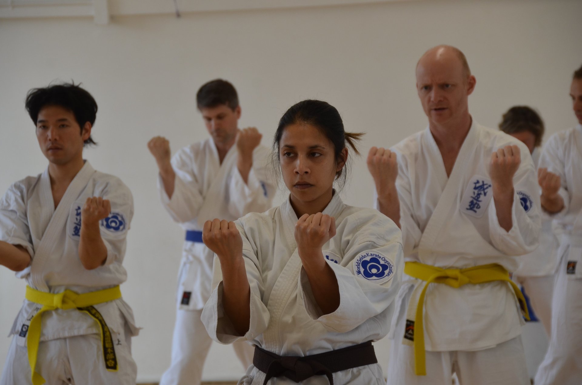 Martial Arts Training for All Levels – Chiswick | Seido Karate