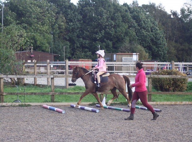 Riding school | Tanglewood Equestrian Centre