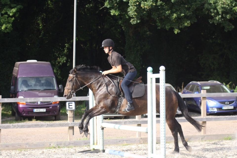Riding school | Tanglewood Equestrian Centre