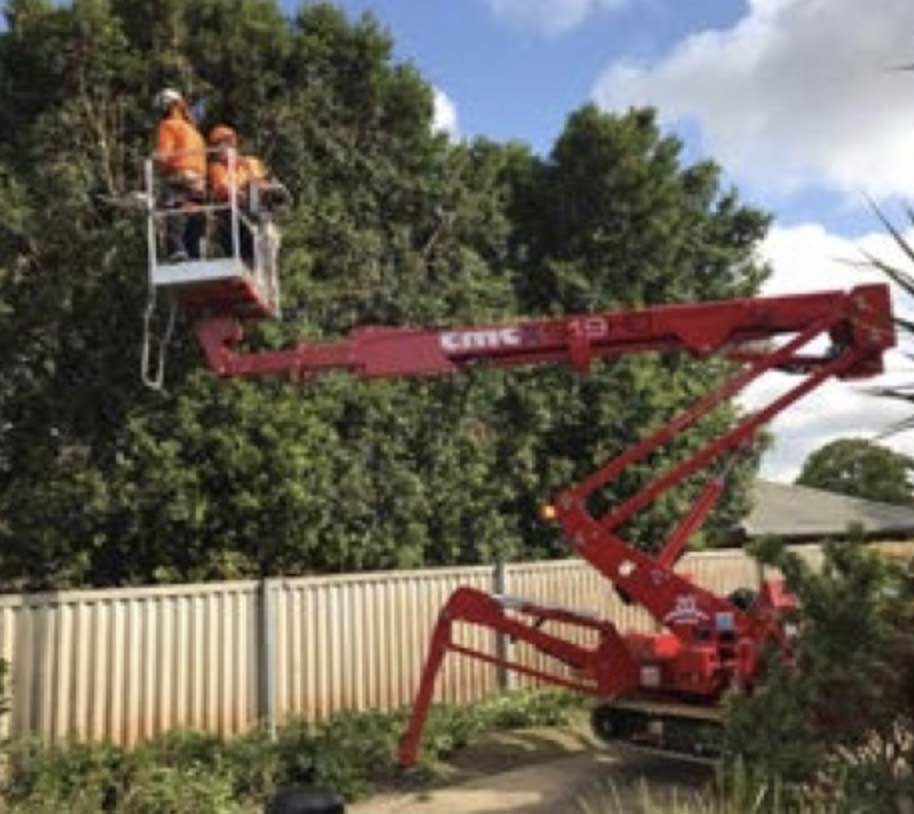 Tree Removal Lismore | Your Tree Feller
