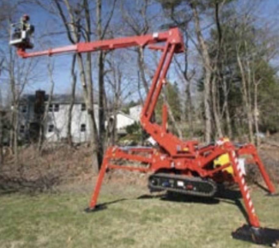 Tree Removal Lismore | Your Tree Feller