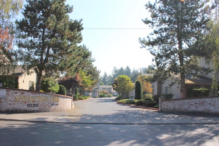 Springtree Park - RCM Properties