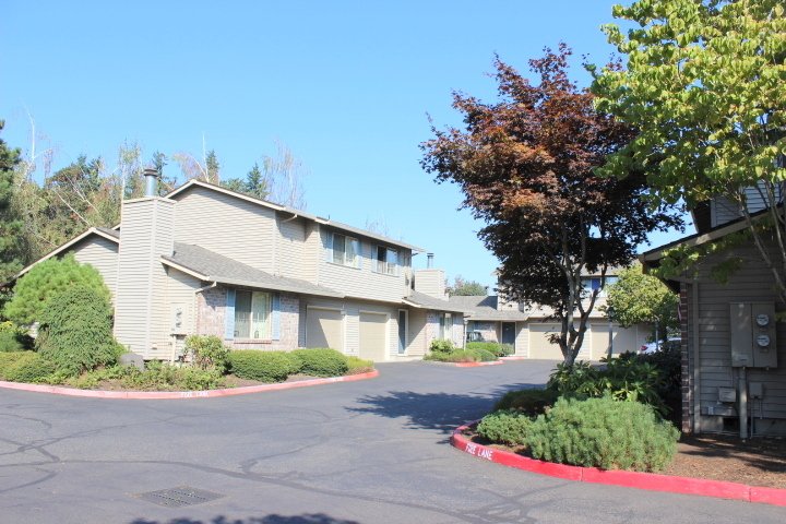 Springtree Park - RCM Properties