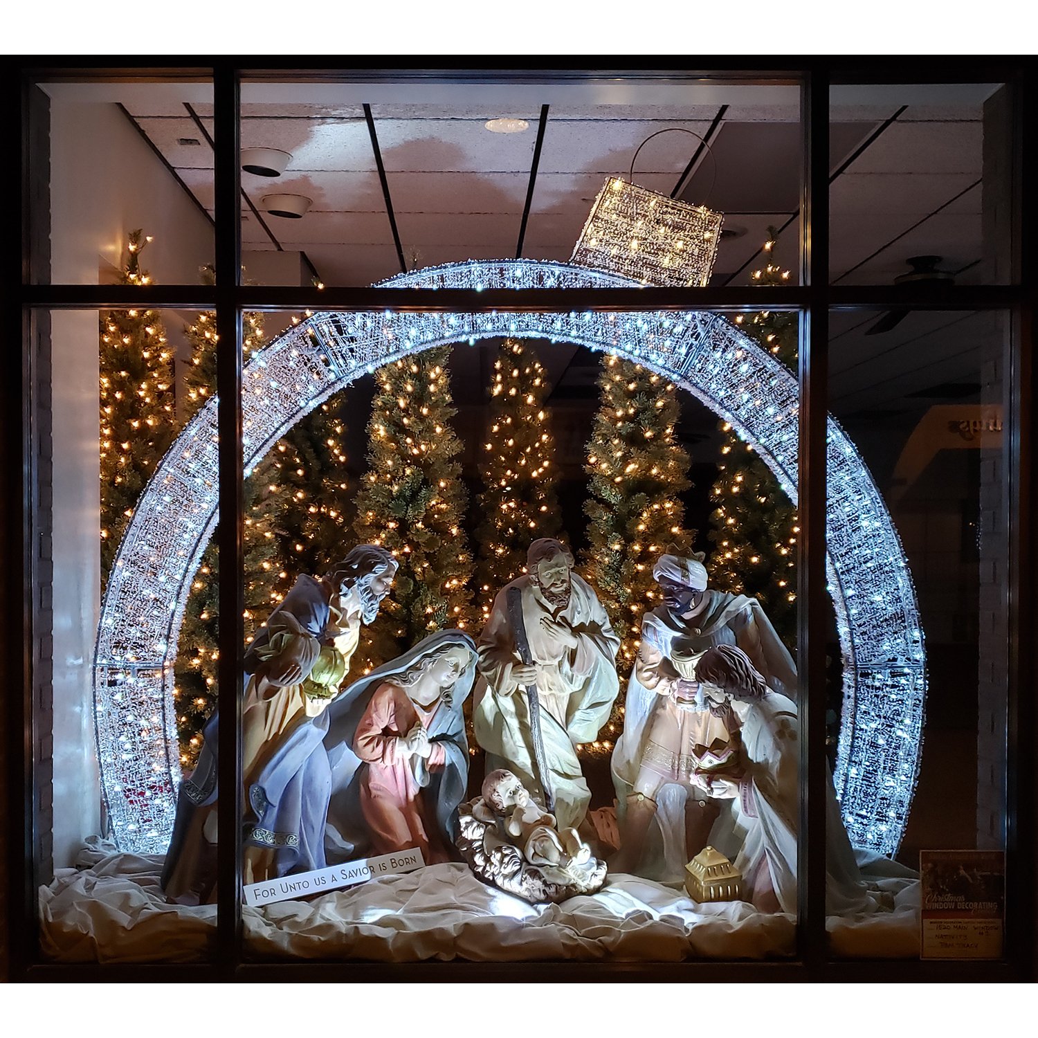 2020 Christmas Window Displays