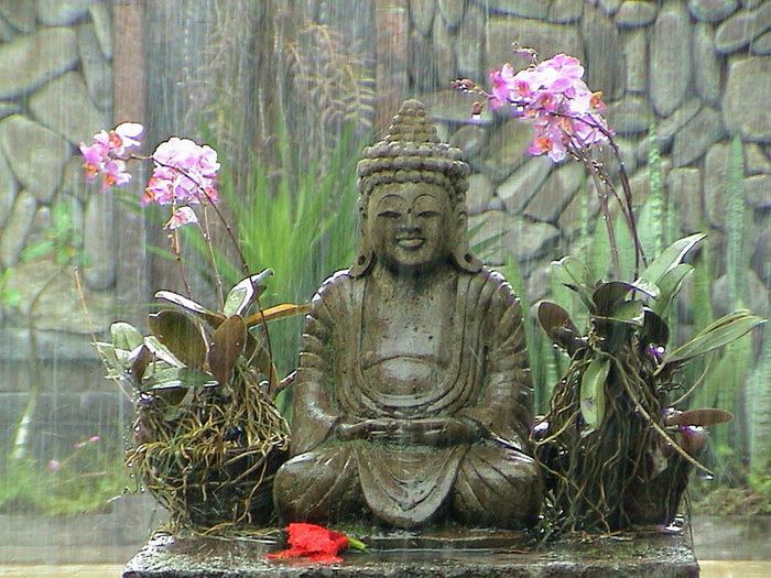 The 8 Worldly Concerns That Prevent Happiness According to Buddha