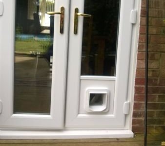 Cat-flaps-Coventry-dog-flaps|cat-flap installers | Dog-flaps-fitters ...
