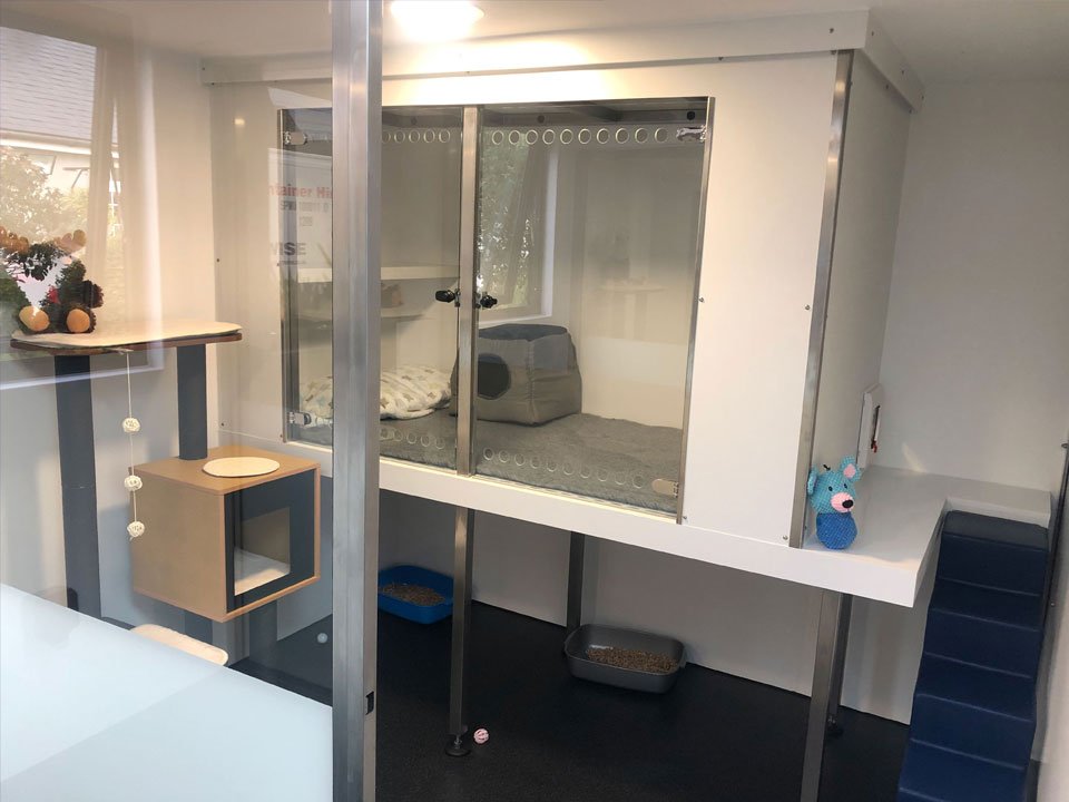 Luxury Cat Boarding |Cattery |Barehams Boarding |Orsett