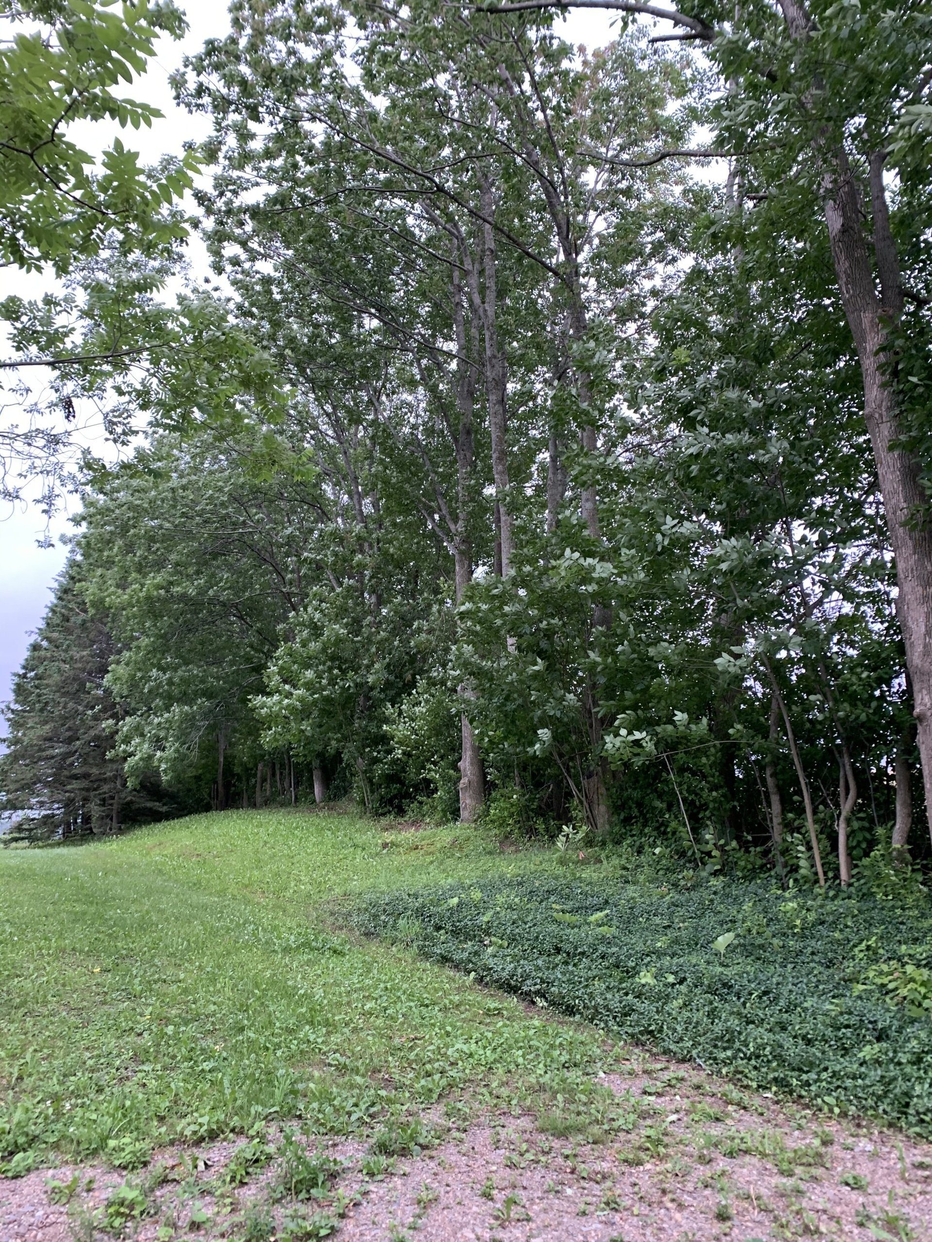 Our Celtic Hearth | Grand Pre Nova Scotia