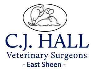 Vets in Sheen - Exotics Centre - CJ Hall Veterinary Surgeons