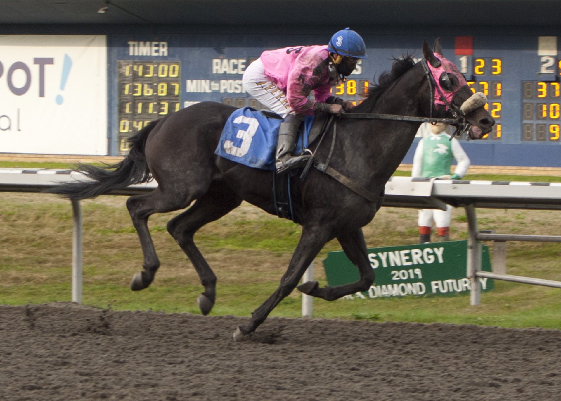 Canadian Thoroughbred Horse Society : British Columbia Division