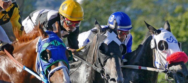 Canadian Thoroughbred Horse Society : British Columbia Division