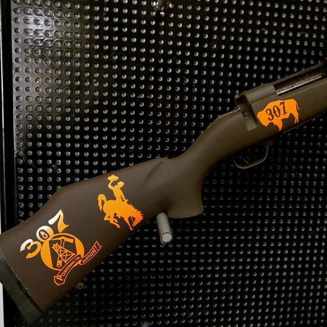 Custom Gun Coatings | Phoenix Weaponry LLC | Worldwide