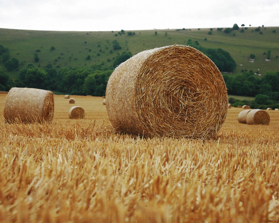 Oil suppliers | McHugh Fuels