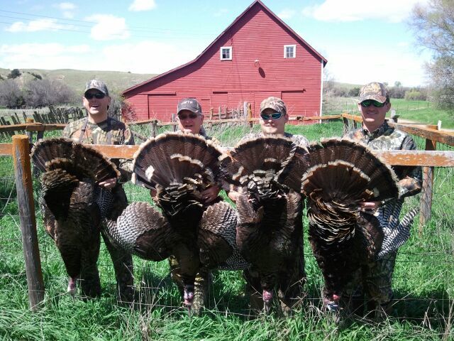 The Roost | Nebraska's Premiere Turkey Hunting Outfitter