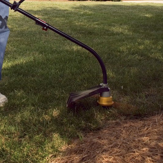 Tree Trimming l Alamogordo, NM l David's Landscaping Design LLC