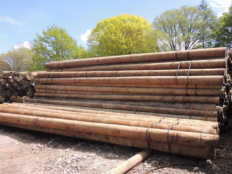 Roundwood poles and products | North Island | Roundwood New Zealand