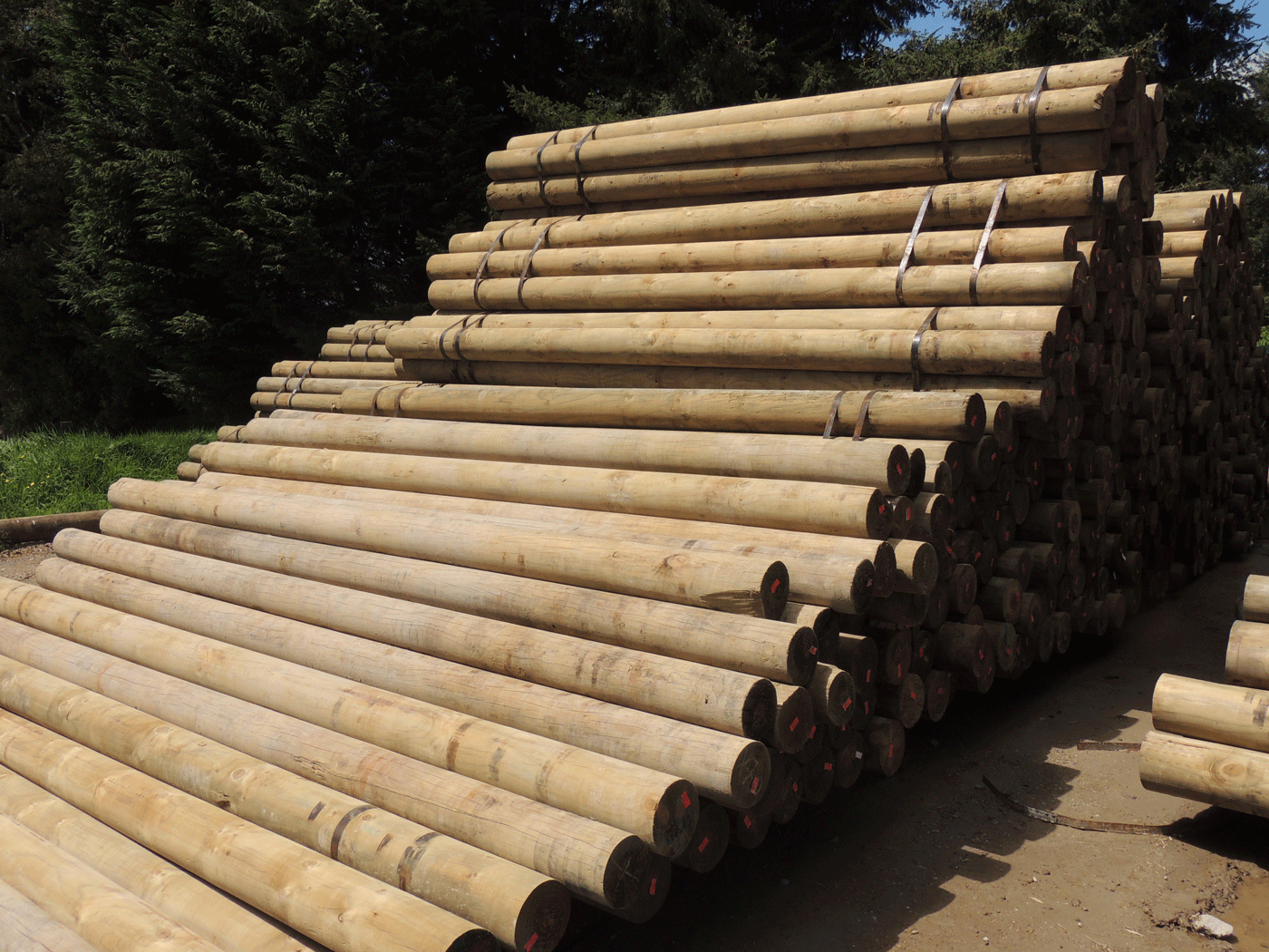 Roundwood New Zealand | Roundwood products | North Island