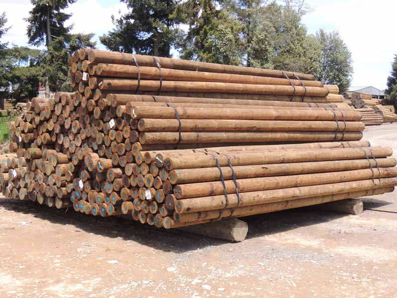 Roundwood poles and products | North Island | Roundwood New Zealand