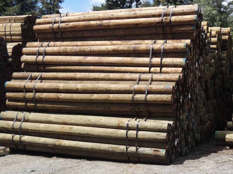 Roundwood poles and products | North Island | Roundwood New Zealand