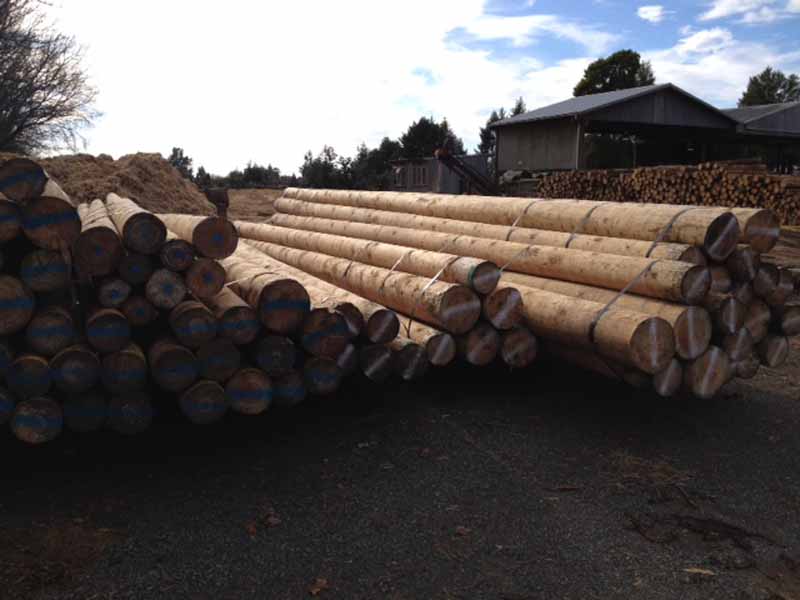 Roundwood poles and products | North Island | Roundwood New Zealand