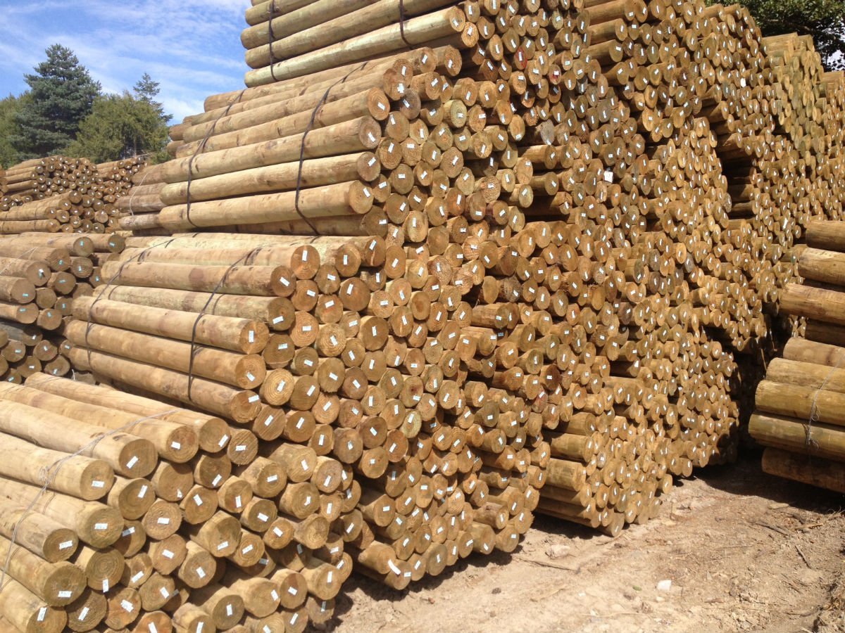 Roundwood poles and products | North Island | Roundwood New Zealand