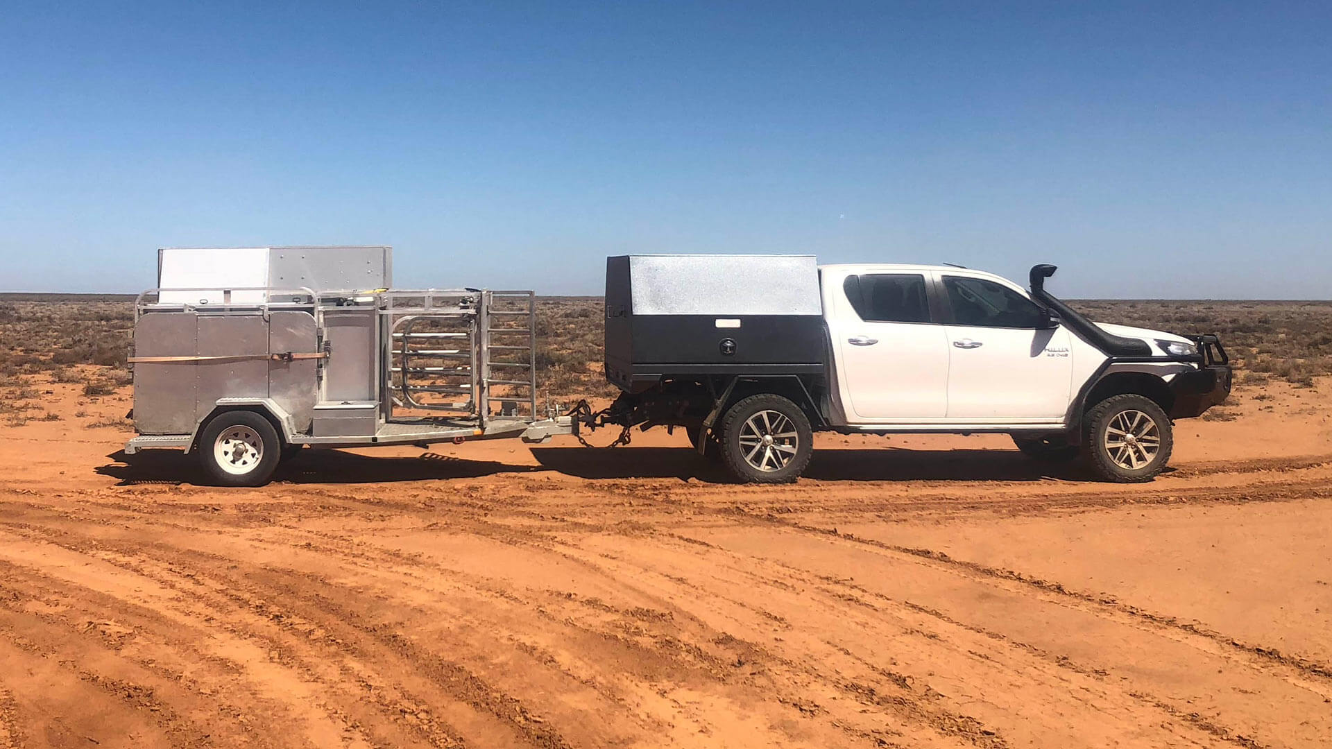 SheepScan Australia - Ultrasound Pregnancy Testing of Sheep