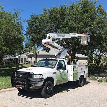 Tree Service | Sarasota, FL | Troyer Tree Service