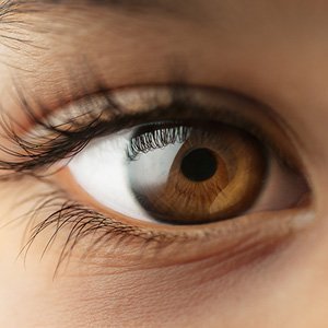 Exceptional Eye Care | Northwest Eye Physicians | Arlington Heights ...