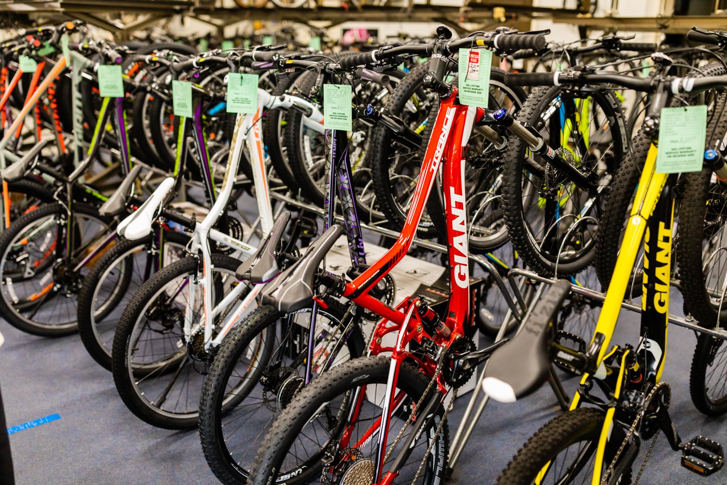 Budget Pro Bicycles - Los Angeles, CA