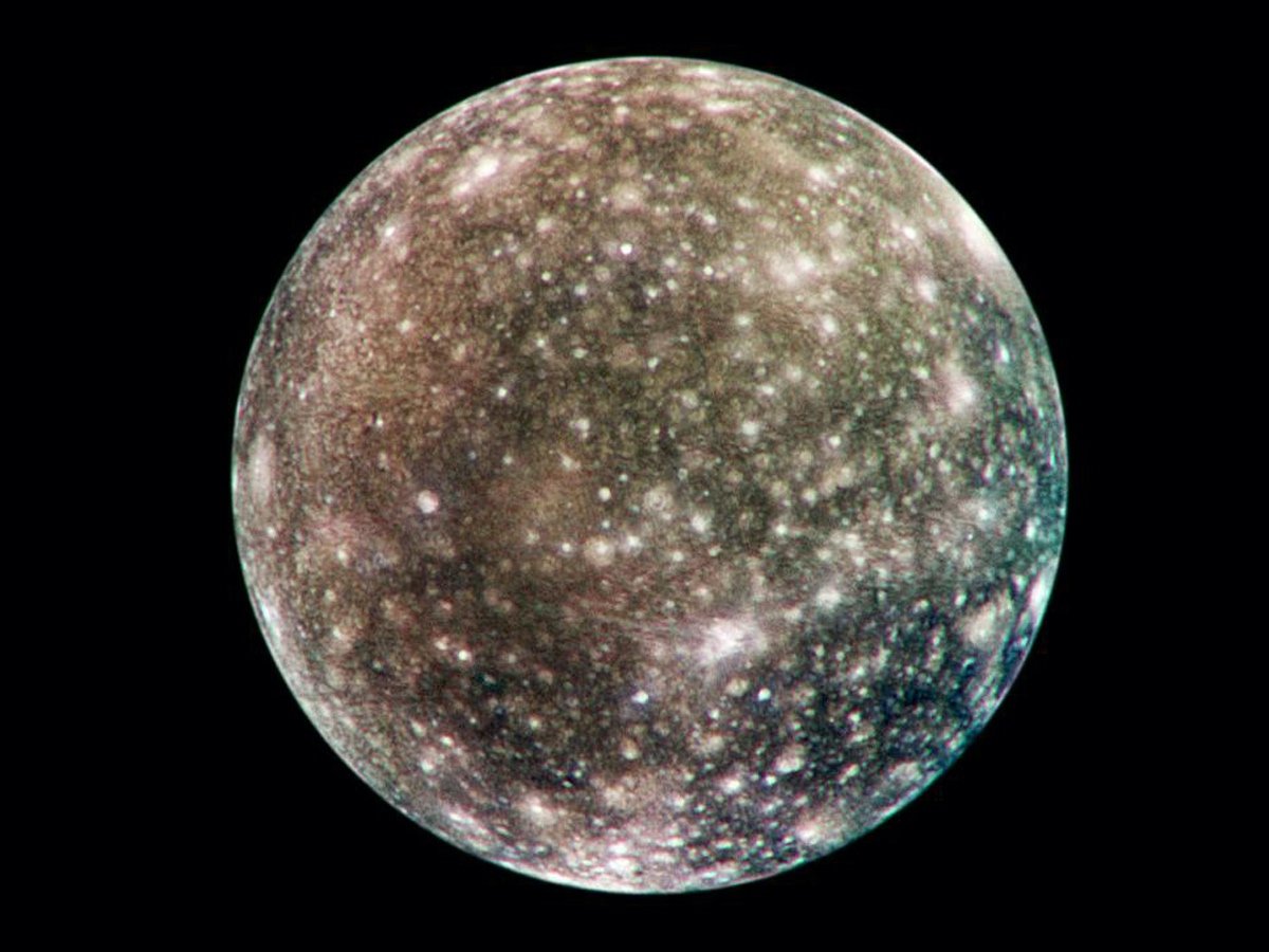 Kallisto