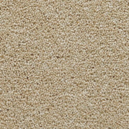 Axminster Carpets - Devonia Plain | Bristol Stockist | CW Jones