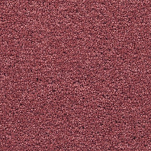 Axminster Carpets - Devonia Plain | Bristol Stockist | CW Jones
