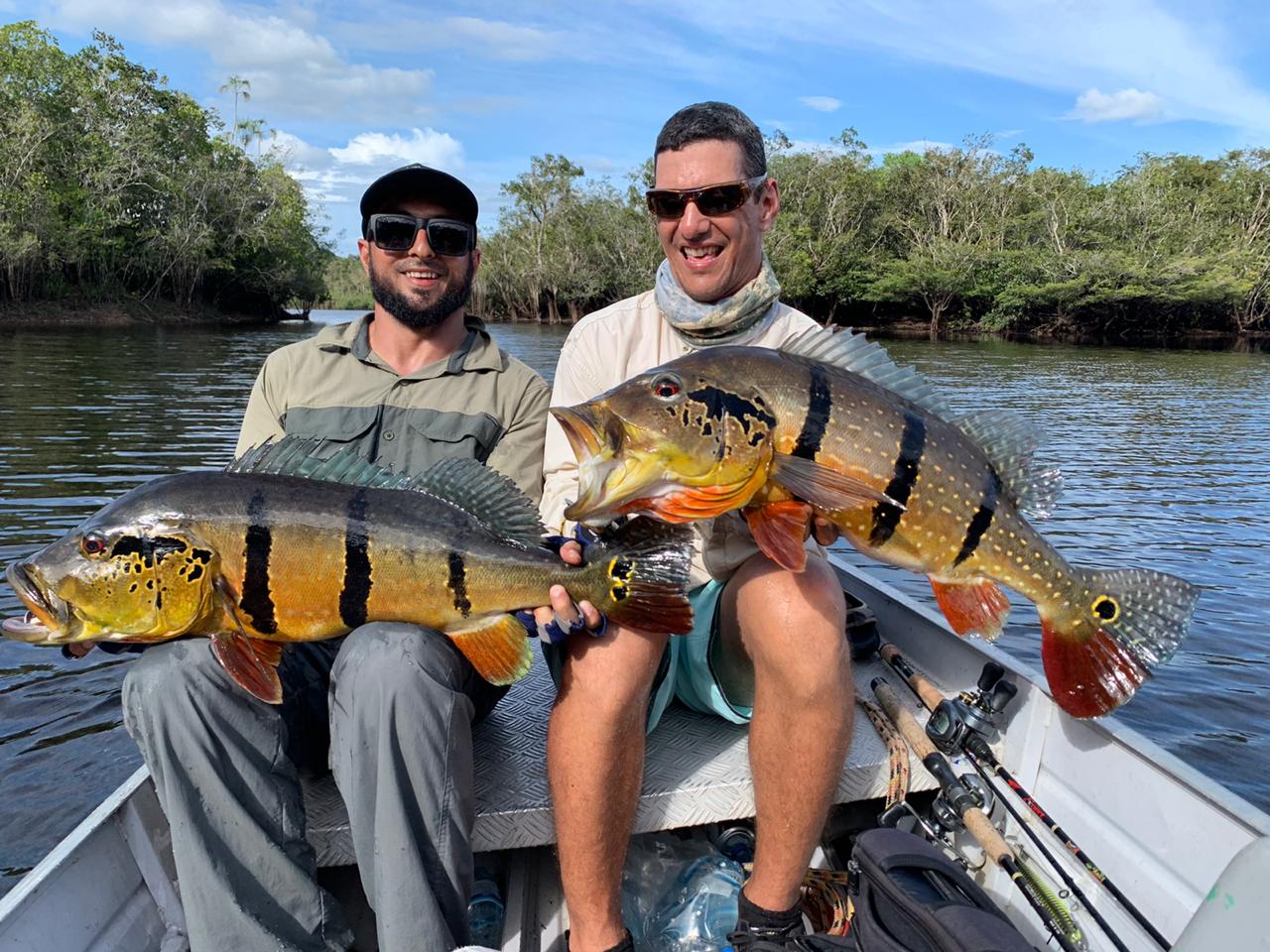The Best Peacock Bass Fishing Amazon is Here!