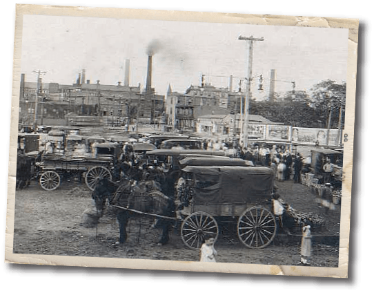 Lumetta Produce | Fresh Food Wholesale | Michigan