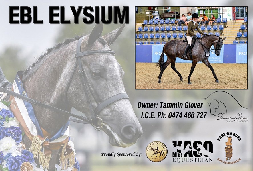 Stable Signs | Australia | Stable Door Signs