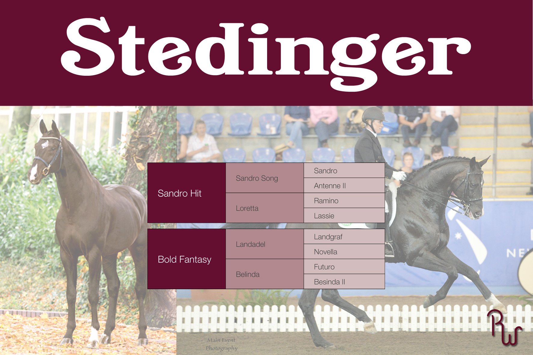 Stable Signs | Australia | Stable Door Signs