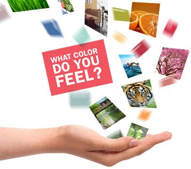 Find Your Perfect Colors