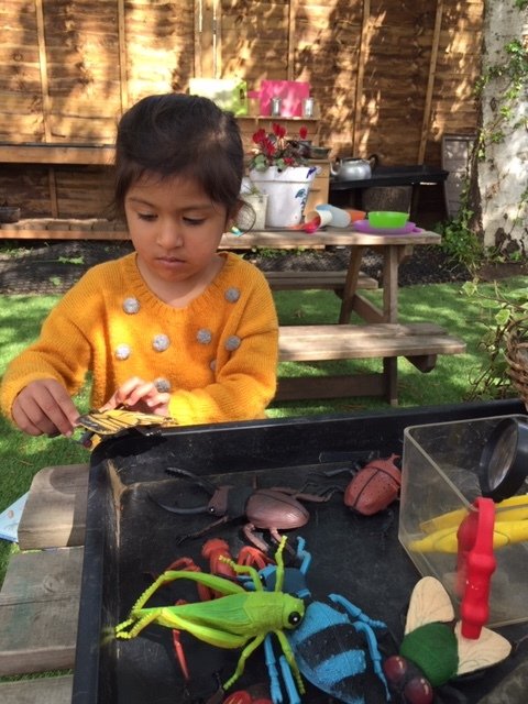 Gallery & Testimonials| Little Learners Playgroup