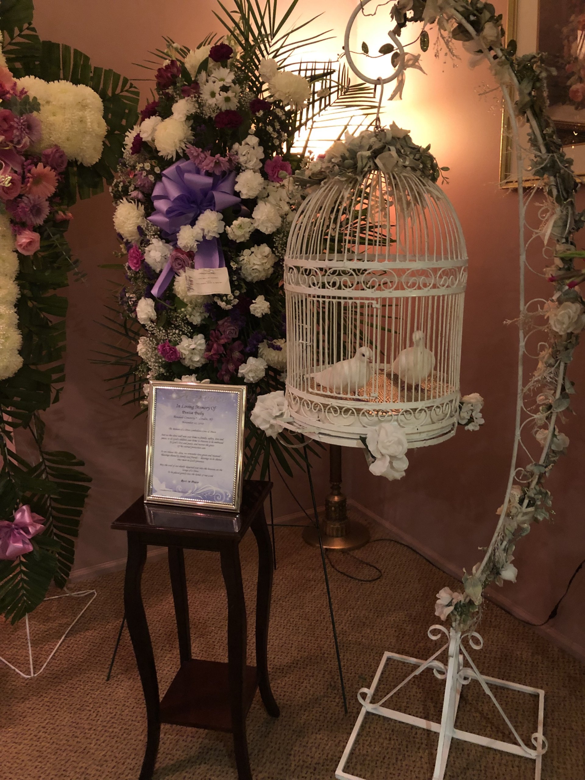 White Dove Release for a Wedding or Funeral | Rent Wedding Doves in NJ