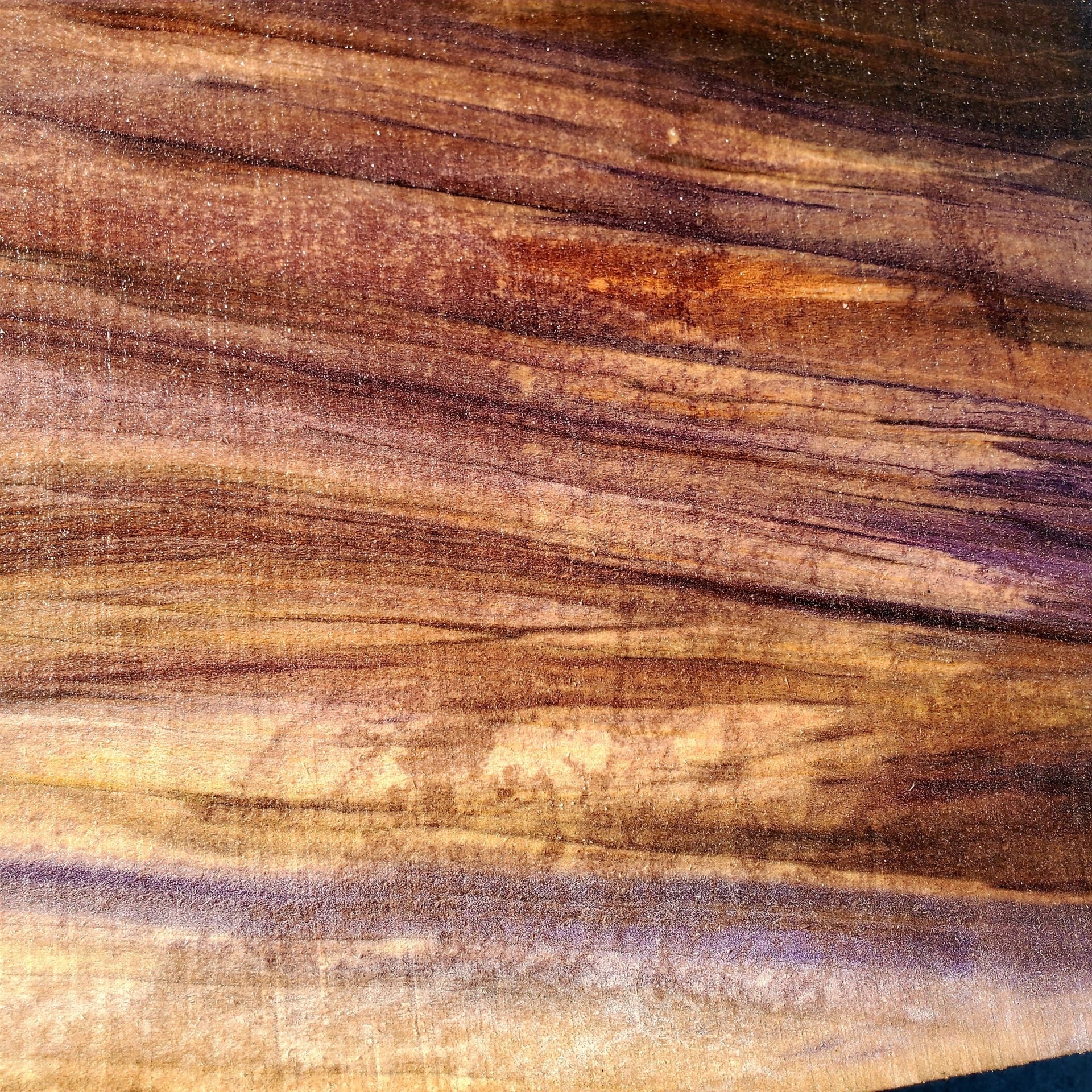 Rainbow Poplar Live Edge Slabs | Rustic Roots Reclaimed Monroe, GA