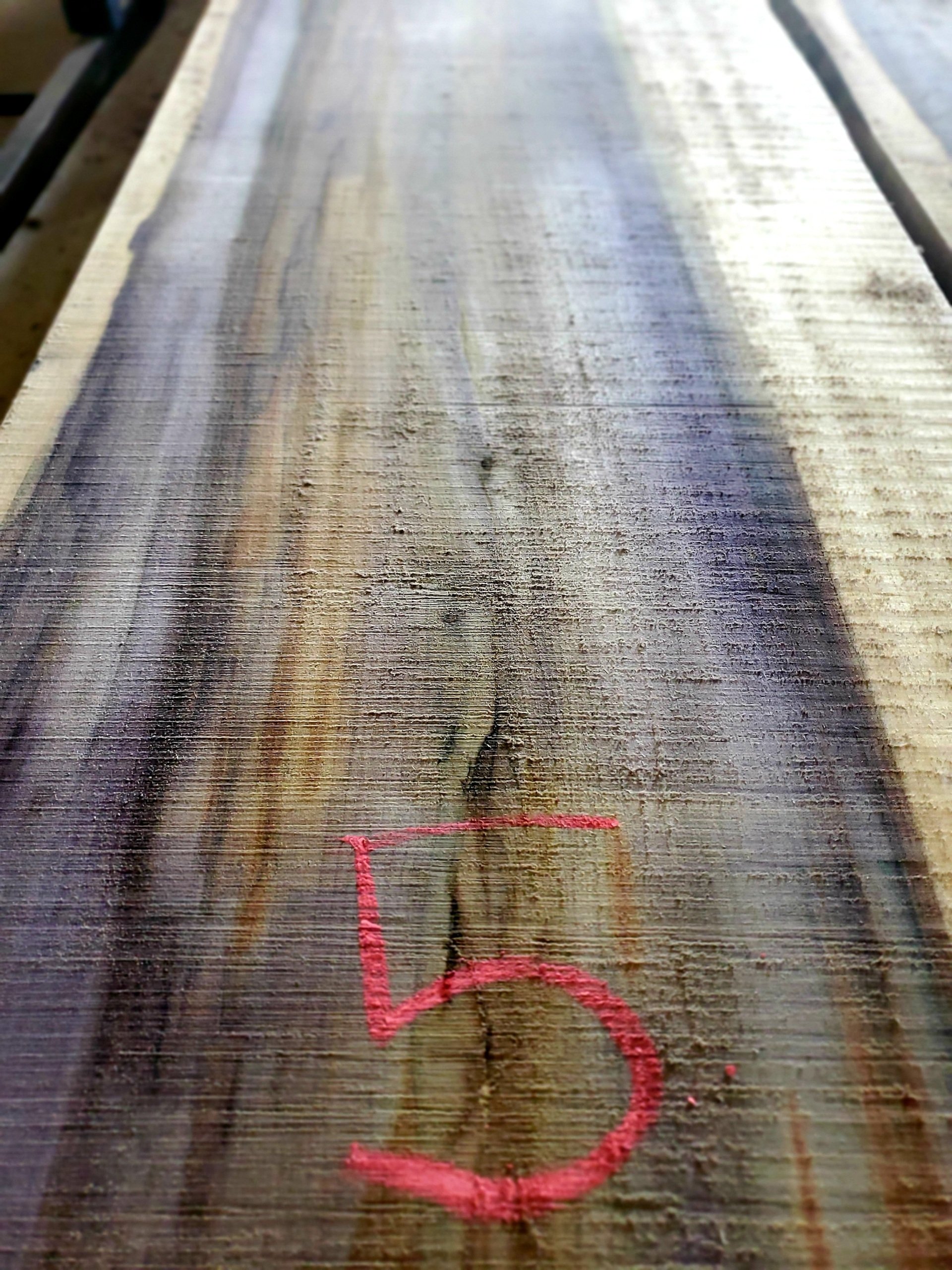 Rainbow Poplar Live Edge Slabs | Rustic Roots Reclaimed Monroe, GA