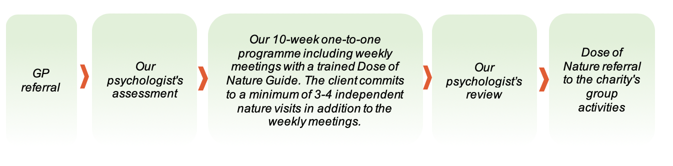 Nature Prescriptions