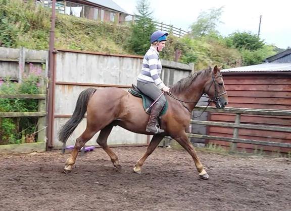Underhill Riding Stables
