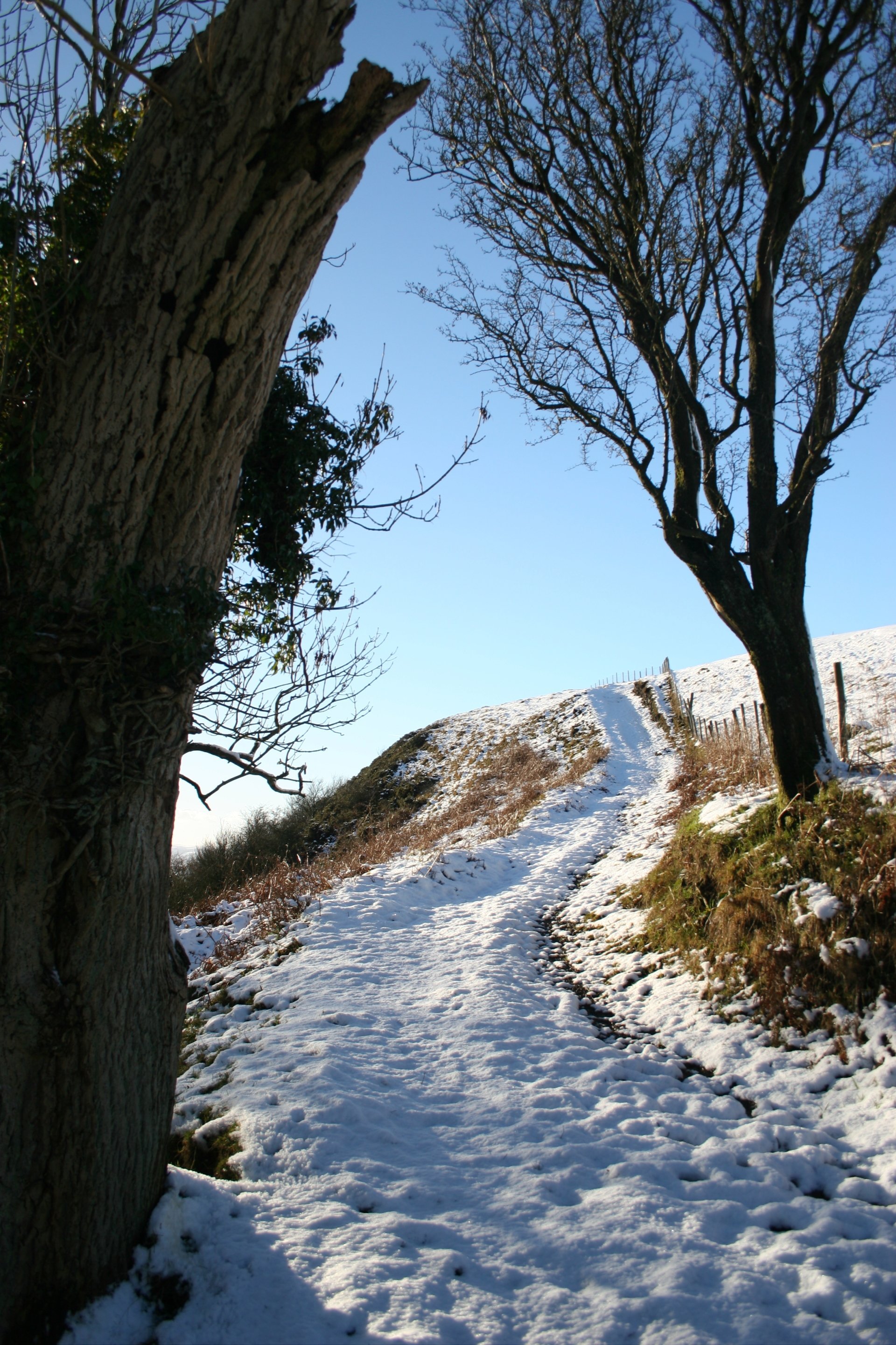 Underhill Riding Stables