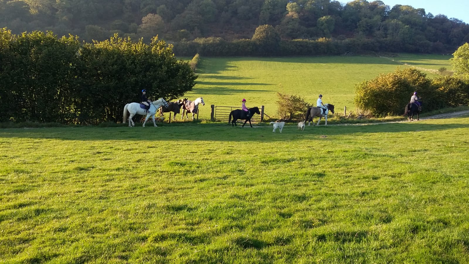 Underhill Riding Stables
