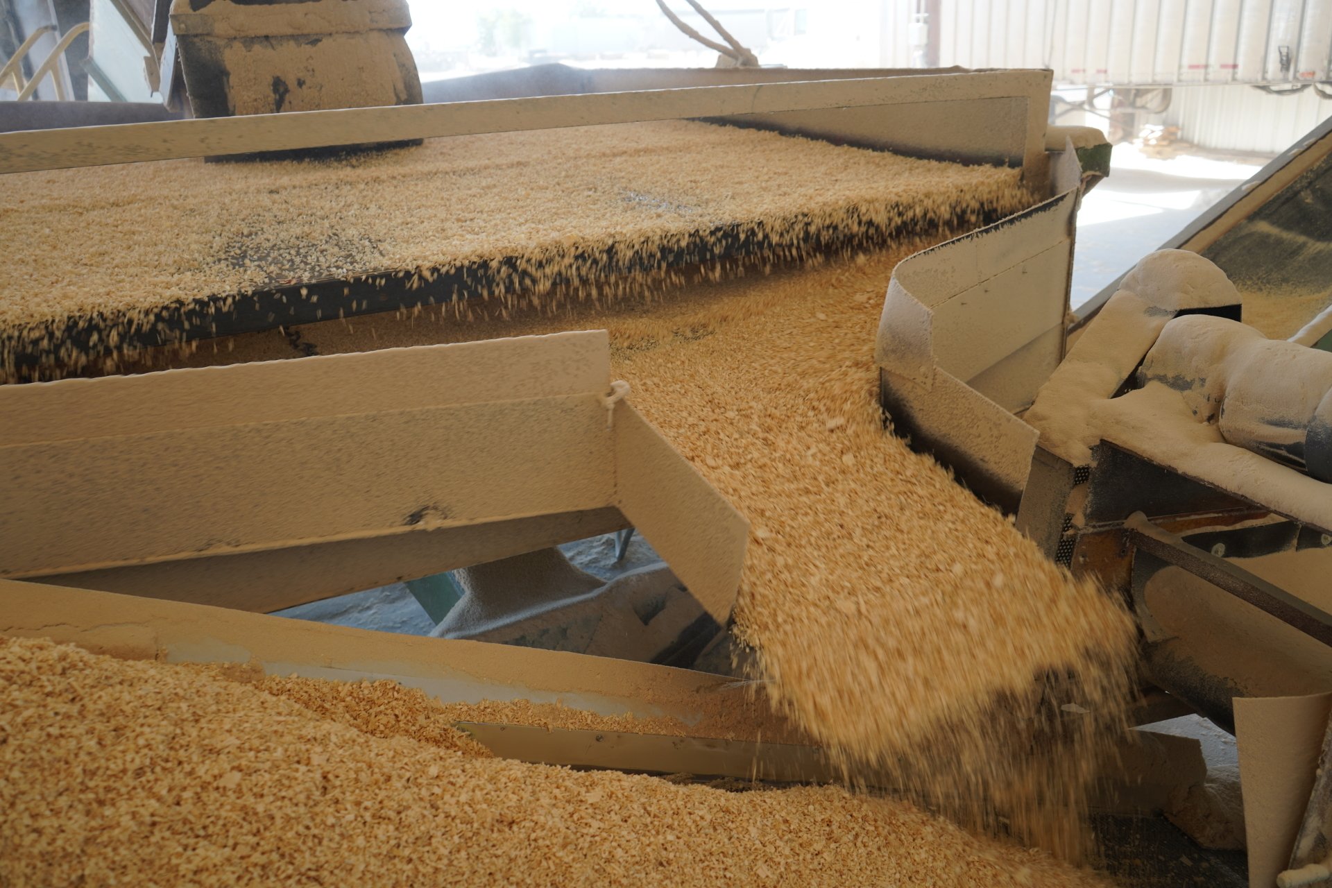 Delta Timber Company