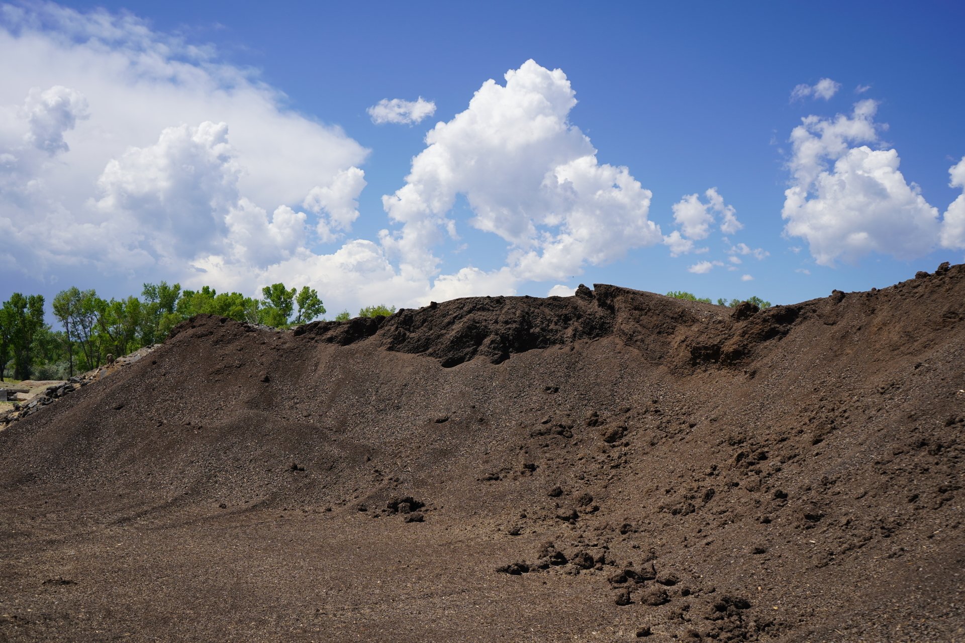 Delta Timber Company