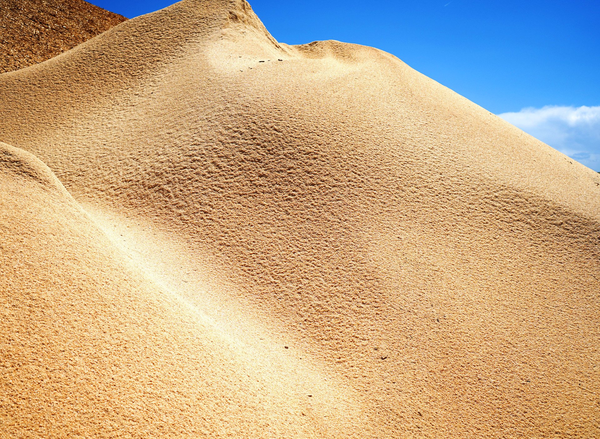 Delta Timber Company